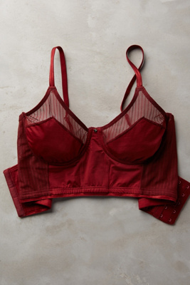 Clo Intimo Underwire Bustier Bra | Anthropologie
