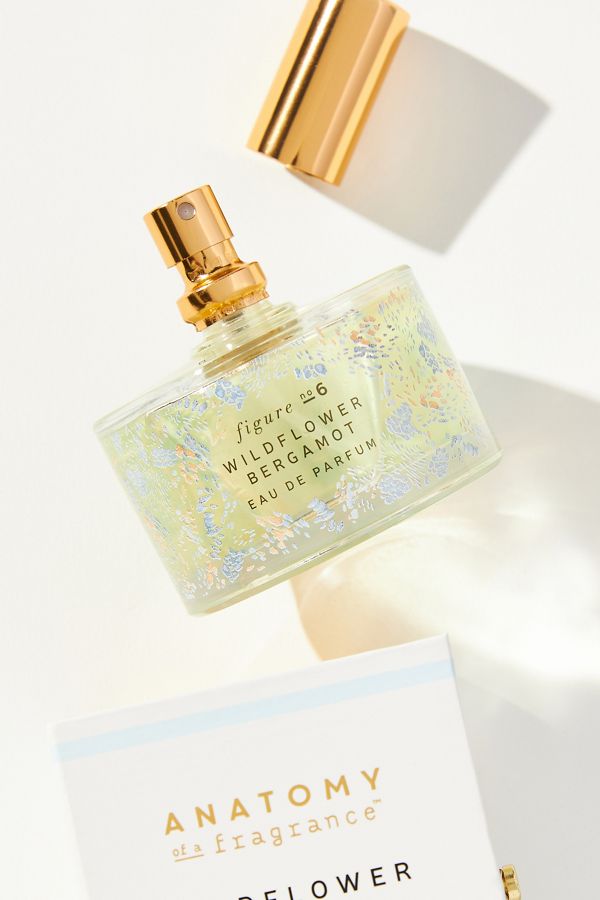 Anatomy of a Fragrance Eau De Parfum | Anthropologie