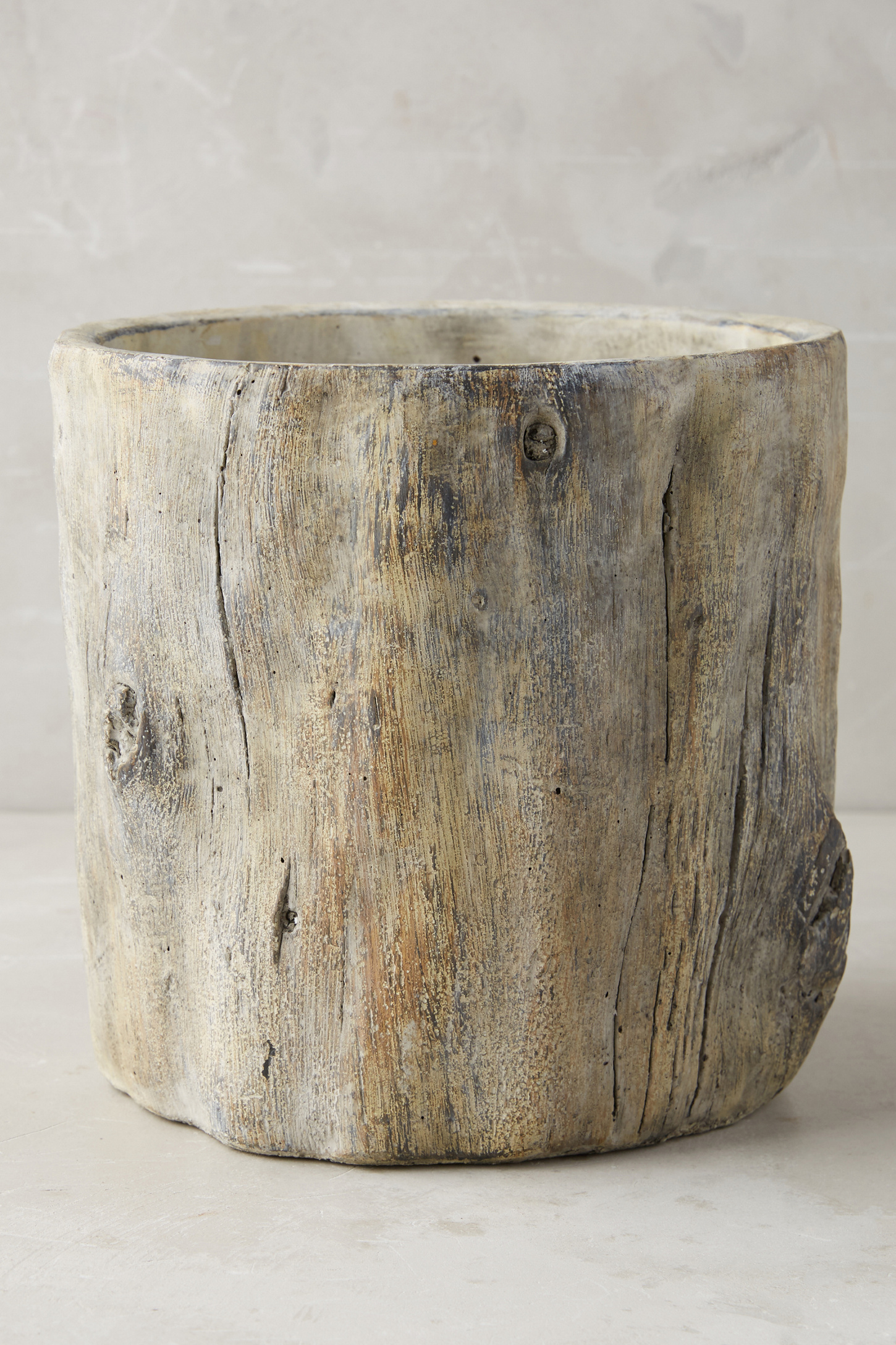 Tree Trunk Planter | Anthropologie