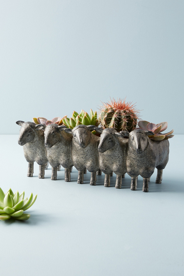 Row of Sheep Planter | Anthropologie