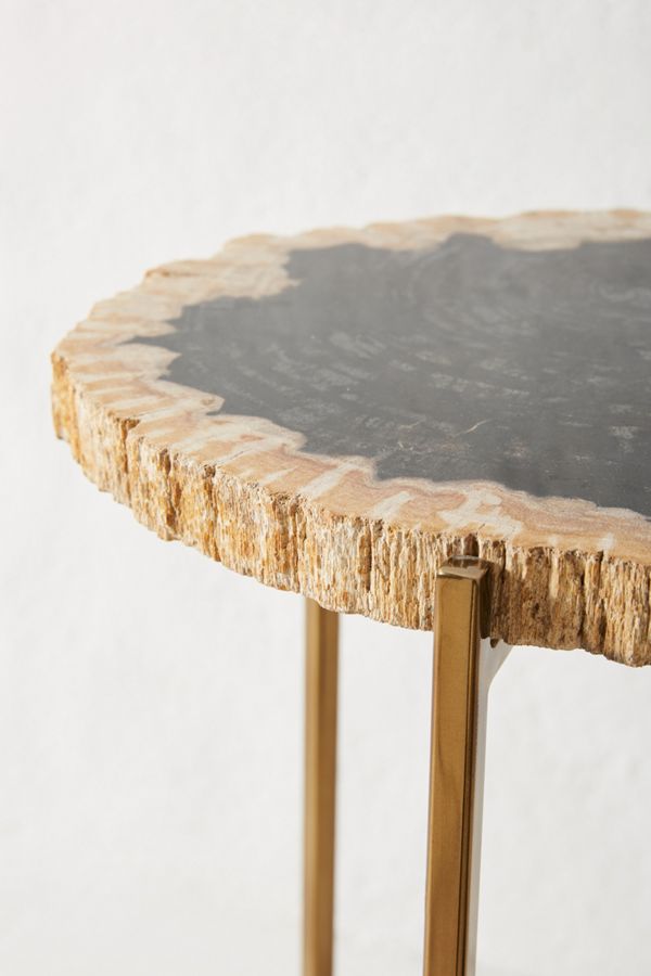 Petrified Wood Side Table | Anthropologie